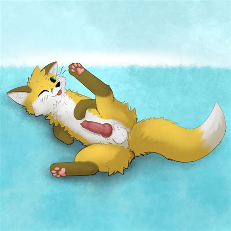 Rule 34 11 Animal Genitalia Animal Penis Balls Canid Canine Canine