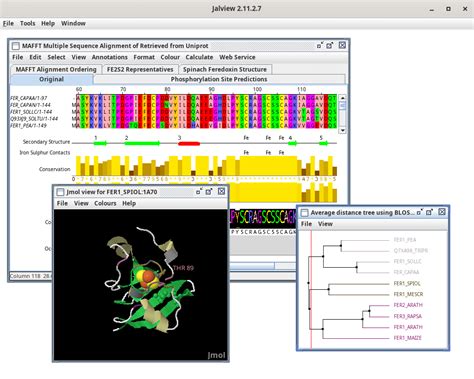 Jalview Multiple Sequence Alignment Editing Visualisation And