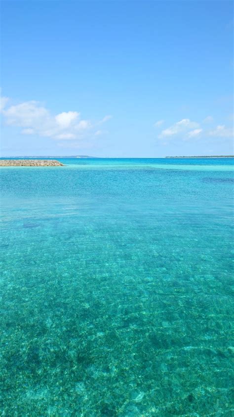 合掌 愛の光の中へ Forever Friend