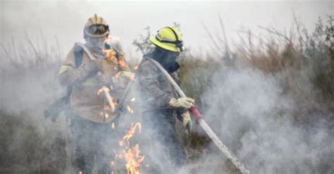 El Fuego Arrasó Con 100566 Hectáreas En Lo Que Va Del Año El Litoral