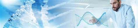 Genome Sequencing Depth And Coverage Calculator