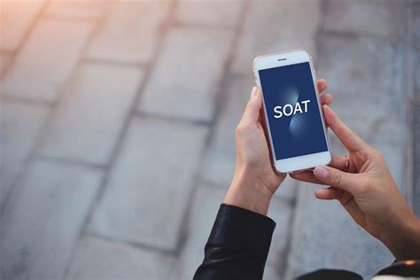 ¿cómo Se Consulta El Soat Autos Chinos