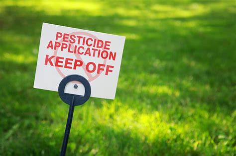 How To Get Rid Of Fleas In The Yard 5 Effective Ways FLEABITES