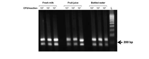 Performance Of Multiplex Rpa Assays For Direct Detection Of S Aureus