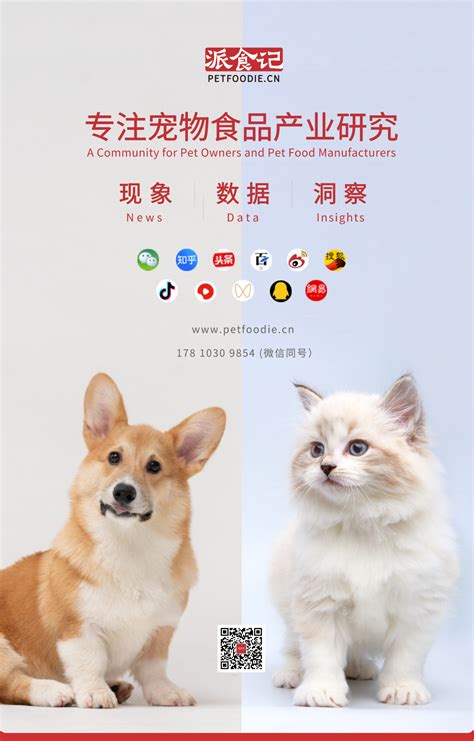 11年研究揭秘湿粮VS干粮哪个更适合猫