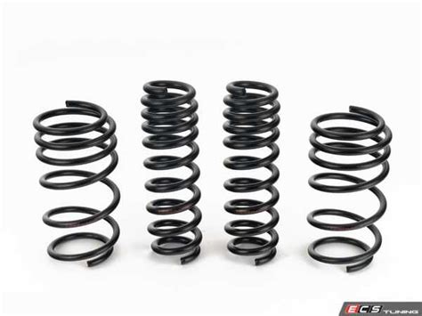 Ecs 051028la01kt G20g42 Lowering Springs
