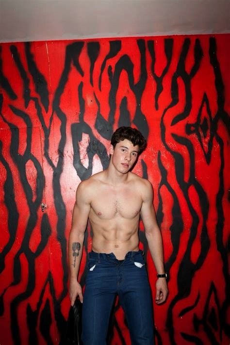 Shawn Mendes Shows Off Sizzling Six Pack At Sydney Beach Artofit