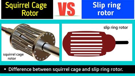 Difference Rotor Motor At Arthur Dwyer Blog