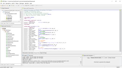 Workspace JEB Decompiler