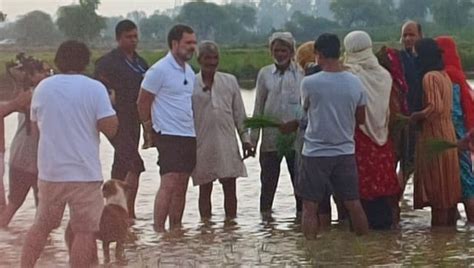 Rahul Gandhi Makes Impromptu Visit To Haryanas Sonipat Interacts With
