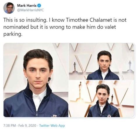 Funny Timothée Chalamet Memes That Make You Like Him More
