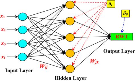 Architecture Of The Multilayer Perceptron Neural Network Model Download Scientific Diagram