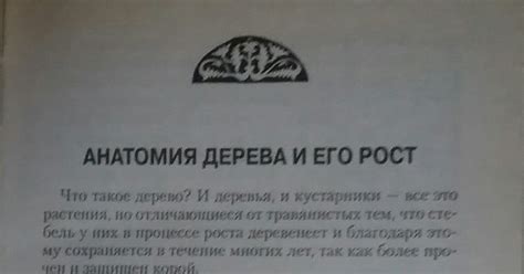 Резьба по дереву для начинающих.Часть книги В.В.Новикова "Резьба по ...