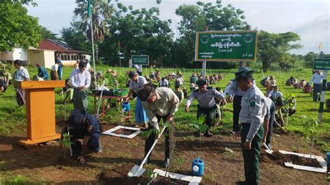 ရွှေတောင်မြို့နယ်တွင် ၂၀၂၄ခုနှစ်၊ မိုးရာသီသစ်မျိုးစုံ စိုက်ခင်းသစ်ပင်စိုက်ပျိုးပွဲ ကျင်းပ
