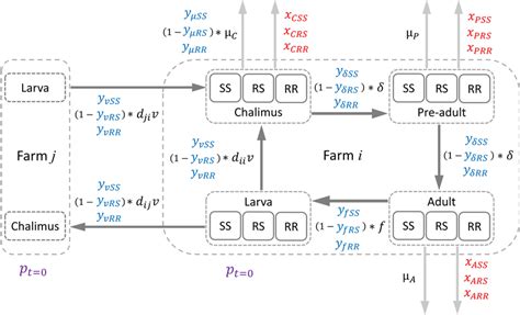 A Simplified Diagram Of The Metapopulation Model Showing The