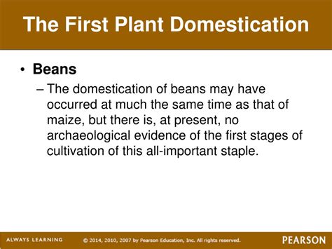 Ppt The First Plant Domestication Powerpoint Presentation Free