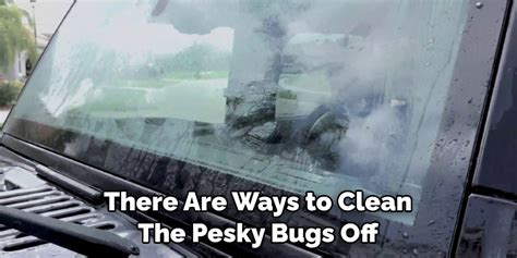 How To Clean Bugs Off A Windshield Easy Tips