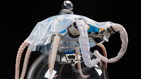 Octopus Inspired Robots Can Grasp Crawl And Swim Ieee Spectrum