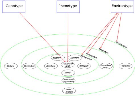 Developmental Systems Theory Semantic Scholar