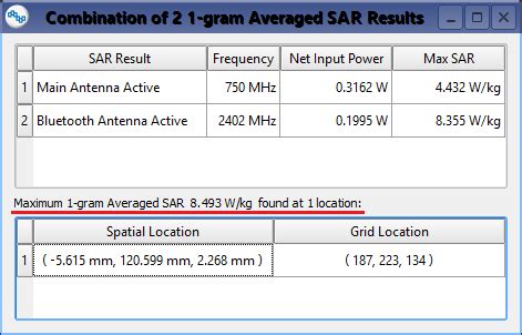 SAR Combination XFdtd Remcom Support