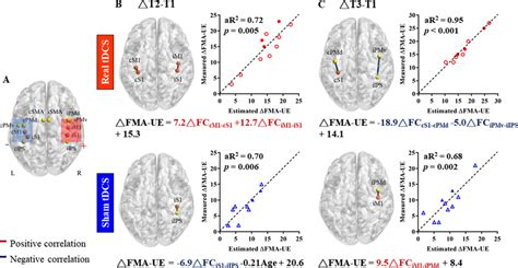 Target Regions Of Interests Roi Of The Sensorimotor Network And