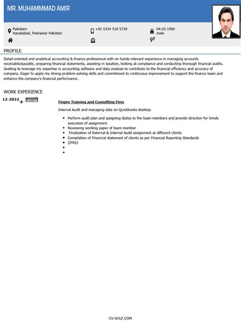 Muhammad Amir Cv Pdf Quick Books Audit