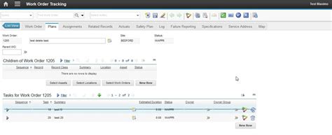 How Can I Delete The Work Order Tasks Before Save It