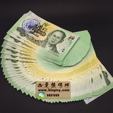 生财钱母 佛牌年份2556 佛牌外壳无