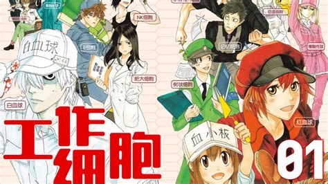 《工作细胞》：一本看着不会睡着的“医学免疫学”课本 机核