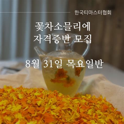 꽃차소믈리에 1급 자격증반 모집 8월 31일 목요일반 총 12회 하루 2회씩 6주완성 힐링클래스 유망직종 정원 식물