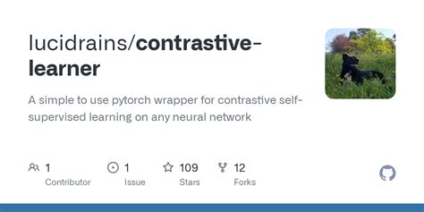 Github Lucidrains Contrastive Learner A Simple To Use Pytorch