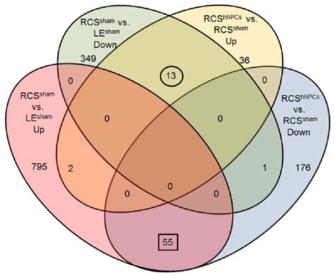 Comparison Of Differentially Expressed Gene Sets Reveals The Presence