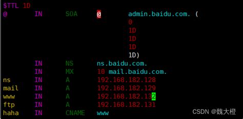 Dns1（bind软件） Csdn博客