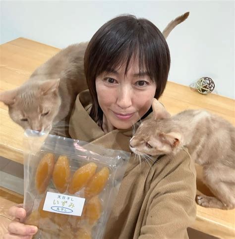 高島礼子 一緒にinstagram見てて写真に切り替えてからの頭突き🐈 猫との時間 猫との暮らし 癒しの Instagram