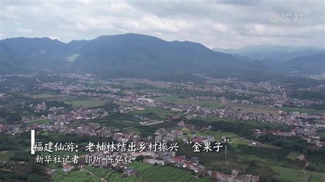 福建仙游：老柚林结出乡村振兴“金果子”凤凰网视频凤凰网
