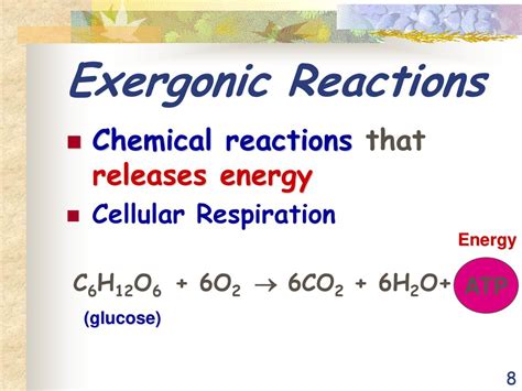 Bioenergetics Ppt Download
