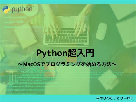 Python超入門MacOSでプログラミングを始める方法 びぎんぱいそん