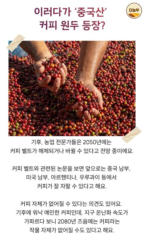 브라질 커피 가고 중국 커피 시대 온다 네이버 포스트
