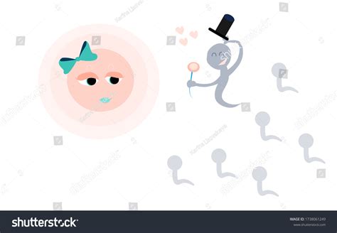 Sperm Met Egg Moment Ovulation Cartoon Stock Vector Royalty Free