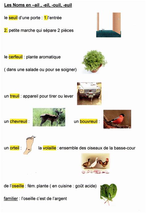 Les Noms En Ail Eil Ouil Euil Jécris Ail Aille Eil Eille