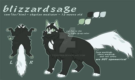 Blizzardsage Ref 2022 By Techyena On Deviantart