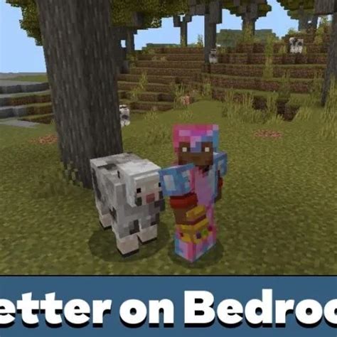 Download Better On Bedrock Mod For Minecraft Bedrock Edition