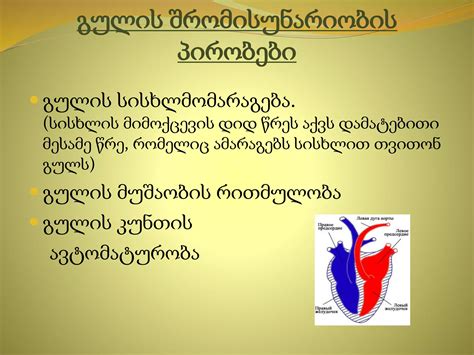 გულის აგებულება და მუშაობა Pptx