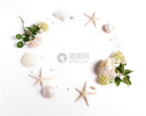 花圈框架与玫瑰贝壳海星隔离在白色背景高清图片下载 正版图片506206239 摄图网