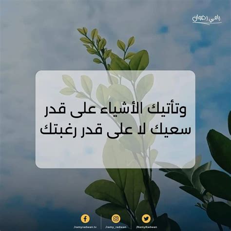 Yostina Meshal Fouad On Linkedin Morning 🌻🌄