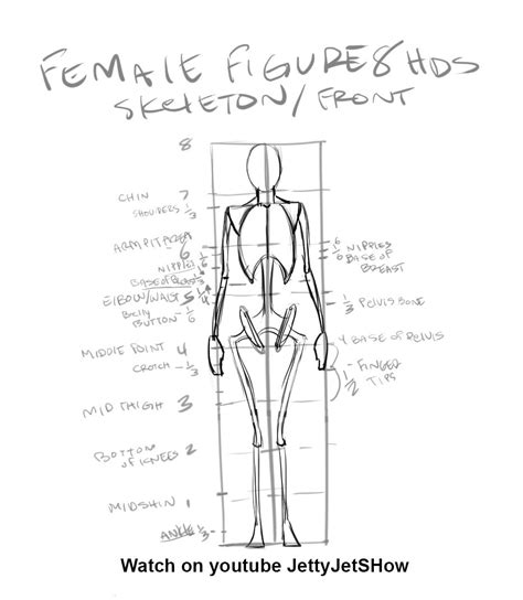 Beginner Figure Drawing Female 8 Heads By Jeteffects On Deviantart