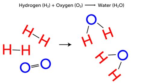 Examples Of Reactant