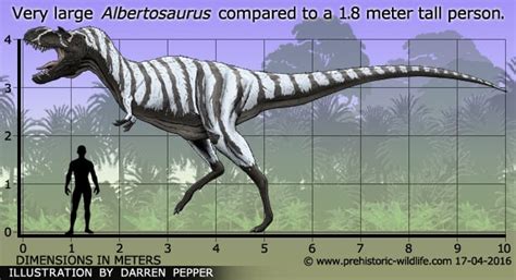 Albertosaurus Fossil