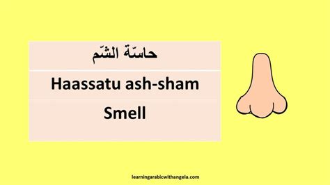 The Five Senses In Arabic