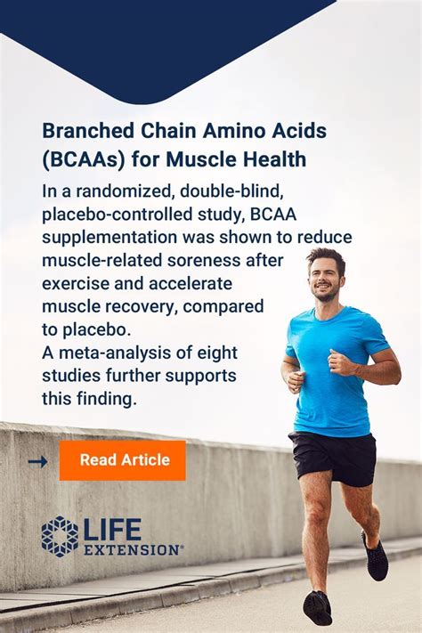 What Are Branched Chain Amino Acids Muscle Health Amino Acids